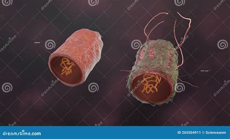 Bacteria Are Small Single Celled Organisms Stock Illustration