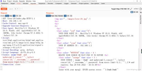 【sql注入10】cookie注入基础及实践（基于burpsuite工具和sqli labs less20靶机平台） cookie 注入 漏洞