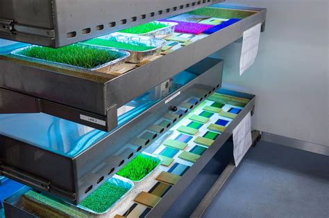 Learn More About Our Wide Range Of Services Polytan