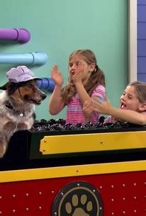 Mutt And Stuff Season 1 Episode 18 Rotten Tomatoes