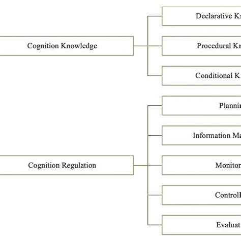 Metacognition Types Described By Schraw And Denniso Schraw Olafson