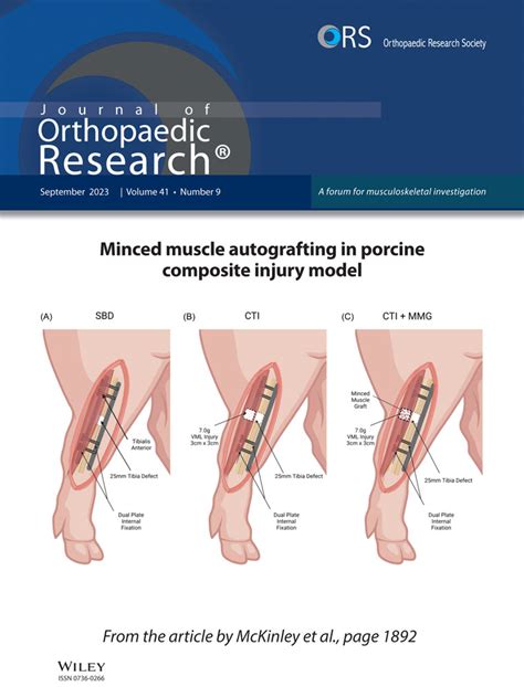 The Biointegration Profile Of Fiber‐reinforced Plates Following Tibial Implantation In Sheep