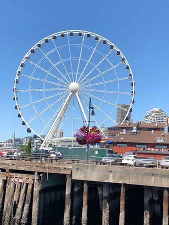 Seattle Great Wheel 2018 All You Need To Know Before You Go With Photos Tripadvisor