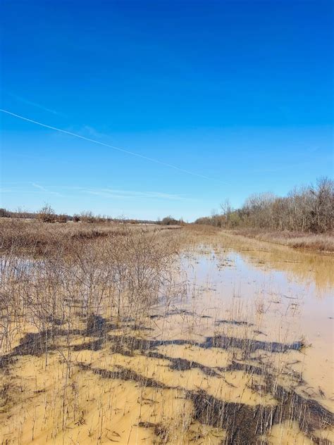 Hunter Robison Smalltown Hunting Properties And Real Estate Added A New Hunter Robison