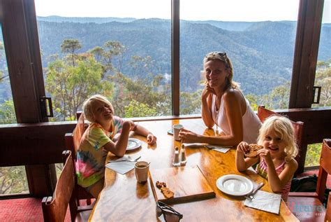 The 3 Best Gold Coast Hinterland Accommodation Options For A Rainforest