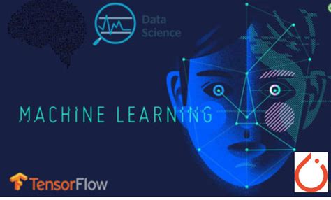 Do Ai Machine Learning Project In Python By Anasmemoncoder Fiverr
