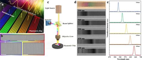 Imaging Based Intelligent Spectrometer On A Plasmonic Rainbow Chip