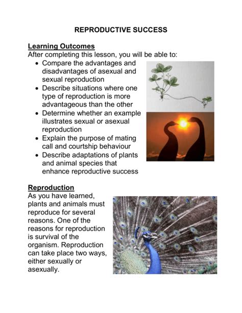 Reproductive Success Asexual Vs Sexual Reproduction