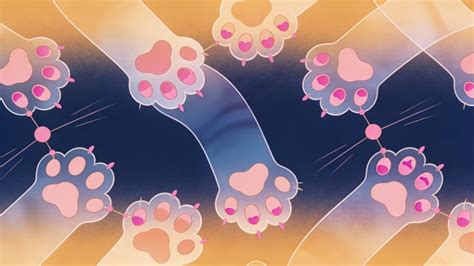 Download Polydactyl Paw Pattern Image Illustration Pattern Cat