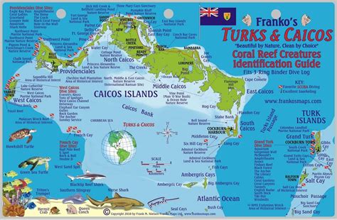 Turks And Caicos Dive Map And Reef Creatures Guide Franko Maps Laminated