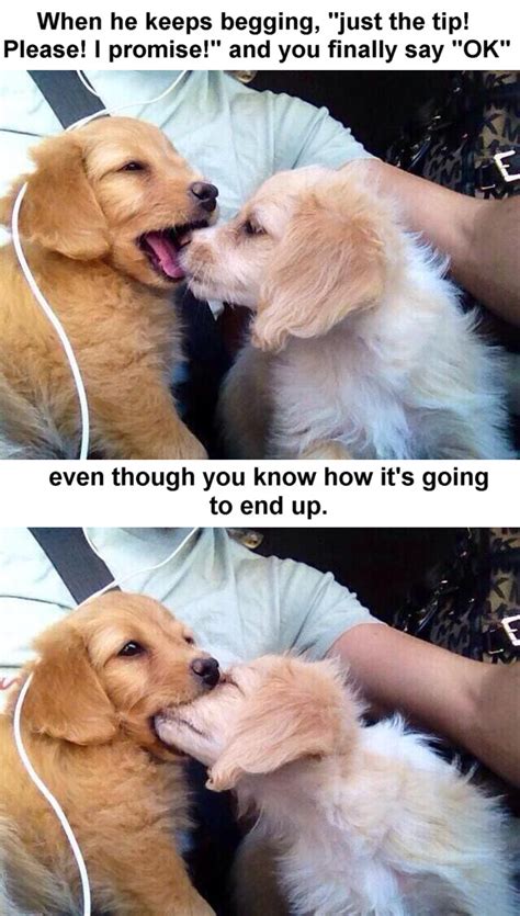 Anal Sex For Beginners Tip Xnxx Adult Forum