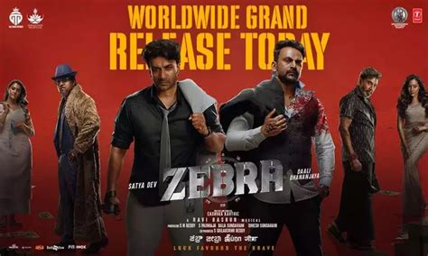 Zebra Movie Review Zebra Movie Review