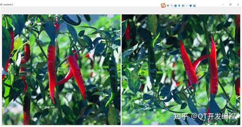 qimage、qclipboard 知乎
