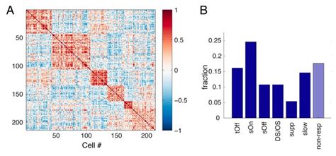 2 Functional Cell Types In Mouse Dlgn A Similarity Matrix Based On Download Scientific