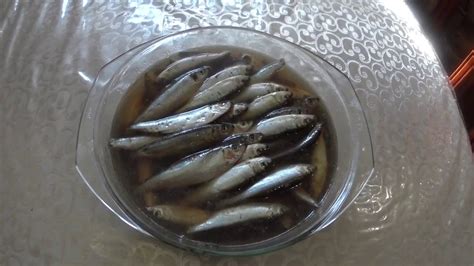 Засолка кильки в маринаде Вариант 2 Youtube