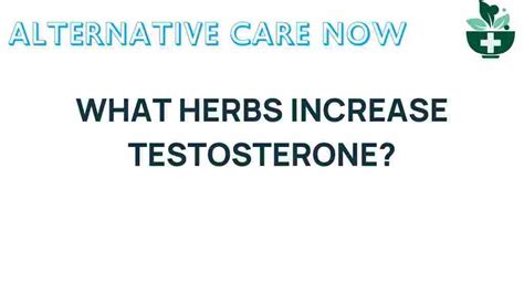 Unlocking Natures Secrets What Herbs Increase Testosterone