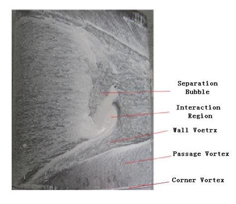 Oil Flow Visualization On Suction Surface Of Wall0 Download