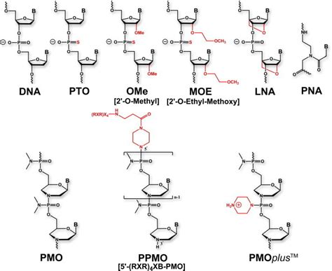 Advanced Morpholino Oligomers A Novel Approach To Antiviral Therapy Pmc