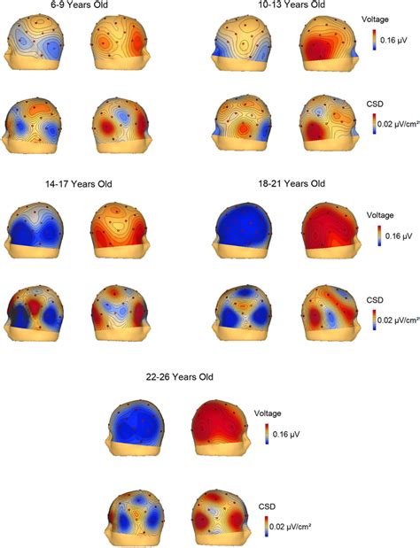 Voltage And Current Source Density Maps For The 5 Groups In The
