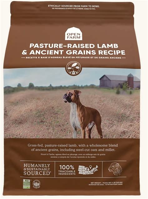 How To Grind Up Dog Kibble At Sebastian Moses Blog