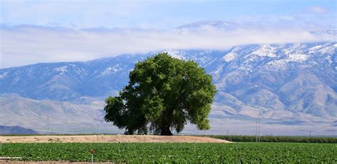 Lamont Weather Ca At Dane Figueroa Blog