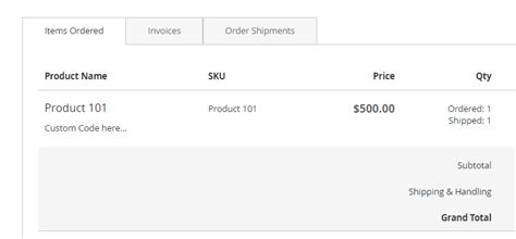 Magento2 How To Add Custom Module Data To Customer Order Detail Page