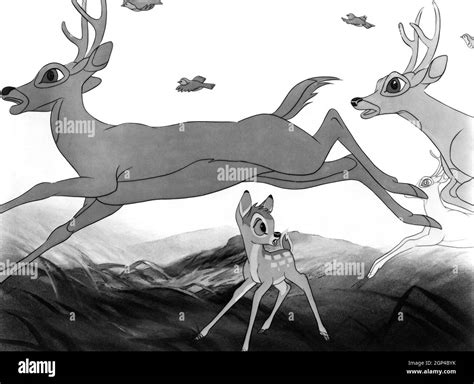 Bambi 1942 Young Bambi Center Voiced By Donnie Dunagan 1942