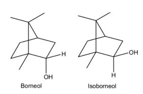 The Nmr Spectrum Of Isoborneol Shows Three Separate Methyl Peaks But