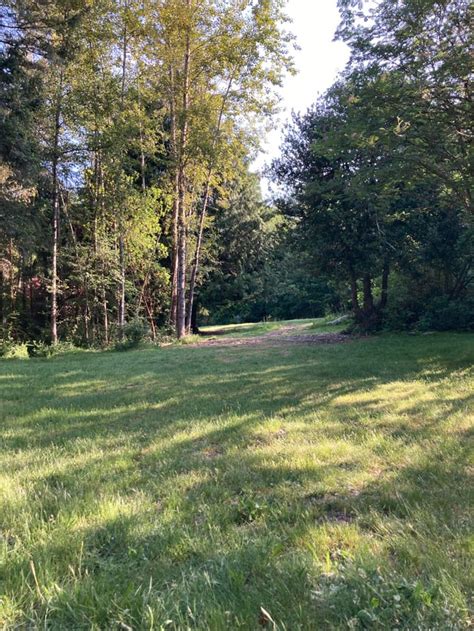 238 To The Pin Low Ceiling Bumpy Ground Under Tree To Eat Your