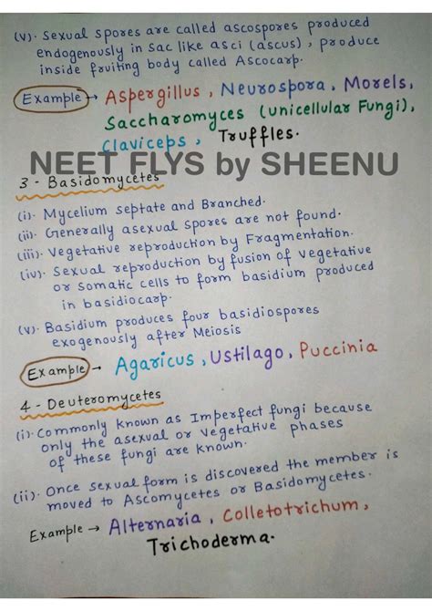 Biological Classification ⭐ Handwritten Notes Class 11th Neet Ncert