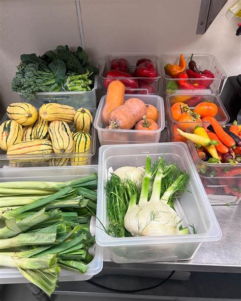 Grana Chico Granachico • Instagram Photos And Videos