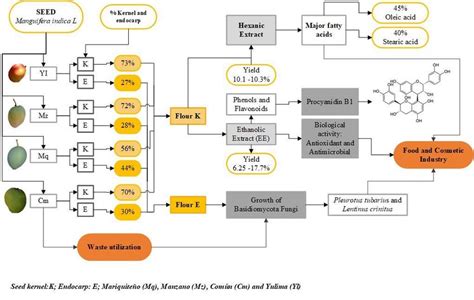 Flow Chart On The Characterization And Use Of Mango Seeds From Four