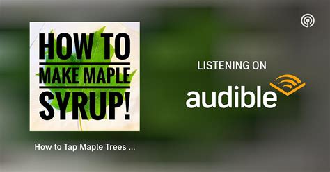 How To Tap Maple Trees For Maple Syrup How To Make Maple Syrup