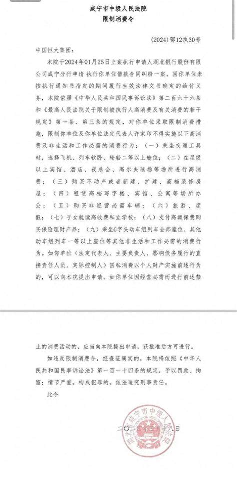 许家印被限制高消费中国显示信息