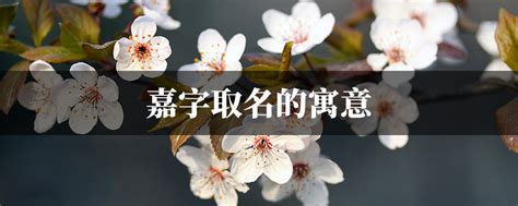 嘉字取名的寓意