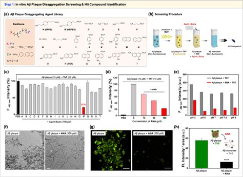A Aβ Plaque Disaggregating Agent Library B In Vitro Aβ Plaque Download Scientific Diagram