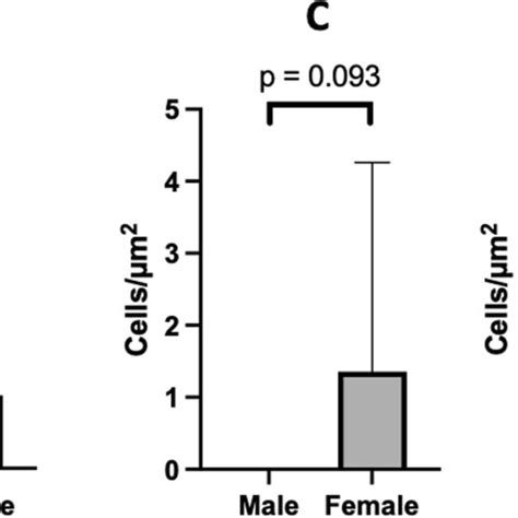 Comparison Of Histologic Patterns Between The Groups Of Male And Female