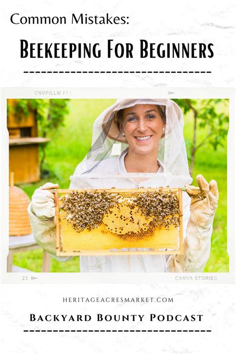 Beginners Guide To Beekeeping Tips Tricks And Mistakes