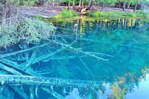 Fotos De Kitch Kit Kipi Vea La Gran Primavera Burbujeante En El Paseo