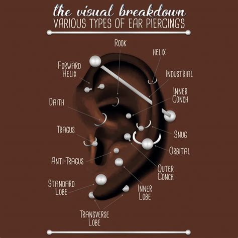 Ear Piercing Chart Dark Skin Poster Etsy Piercing Chart Ear Piercings Chart Ear Piercings