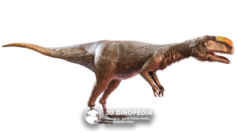 Epidexipteryx 3d Dinopedia