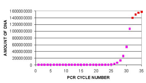 Real Time Pcr Tutorial