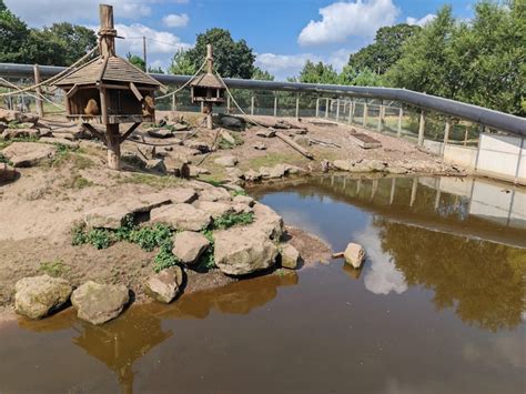Yorkshire Wildlife Park Doncaster Information Tickets And Reviews