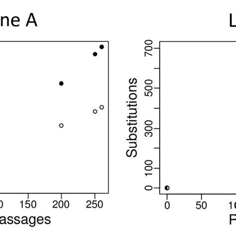 Mutation Accumulation Experiment Scheme In Each Passage Part Of One
