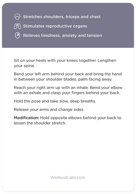Strength And Balance Workoutlabs