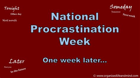 National Procrastination Week I Procrastinated Organised Life And Mind