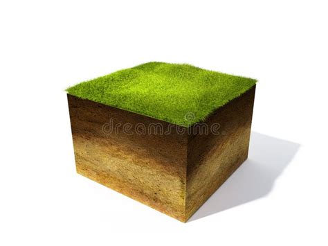 Cross Section Of Ground With Grass Stock Illustration Illustration Of