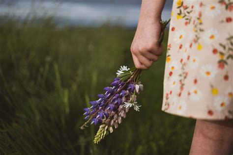 Vanessa Violet Flickr