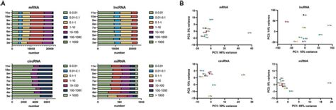 Multiple Transcriptome Analyses Reveal Mouse Testis Developmental