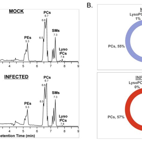 Lipid Identification From The Positive Ionization Mode Data Set For Download Scientific Diagram